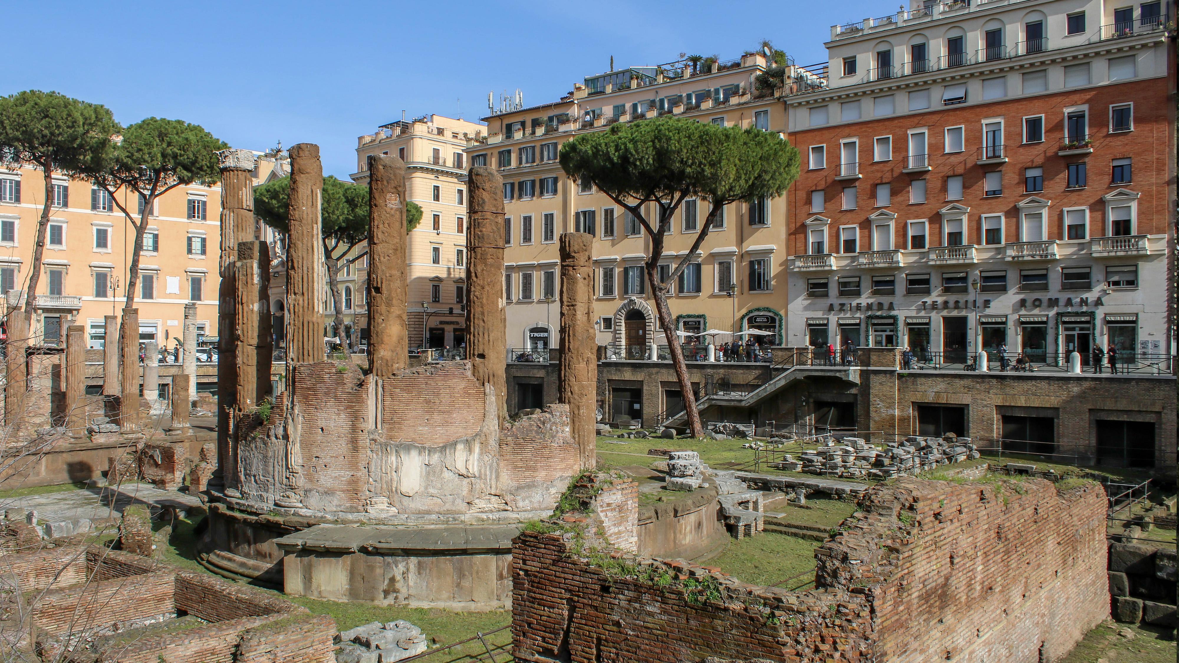 Fotos zum Träumen 1